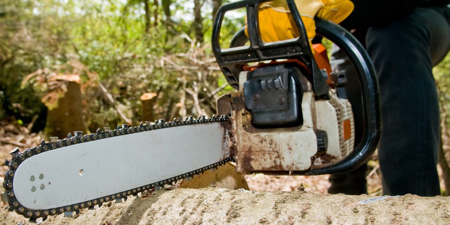 DC Tree Special Offers | D C Tree Service